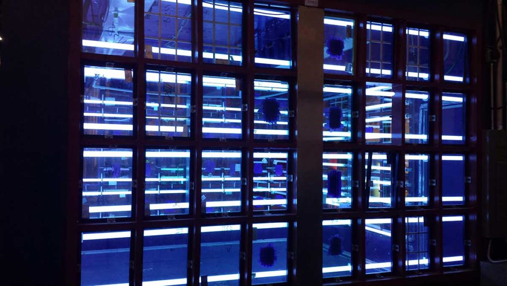 Insulated Glass Unit (IGU) Testing and Certification - QAI